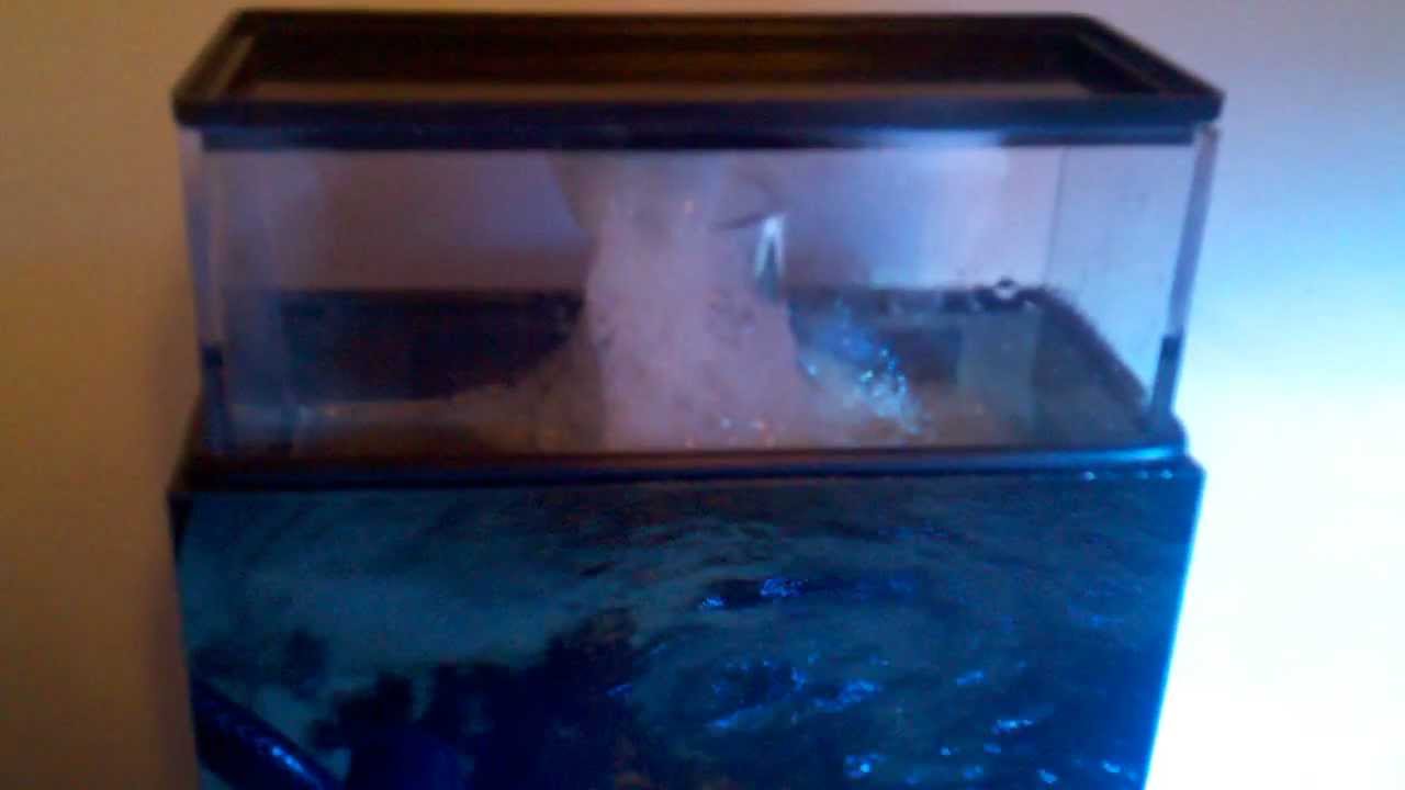Aqua C Remora Pro - YouTube