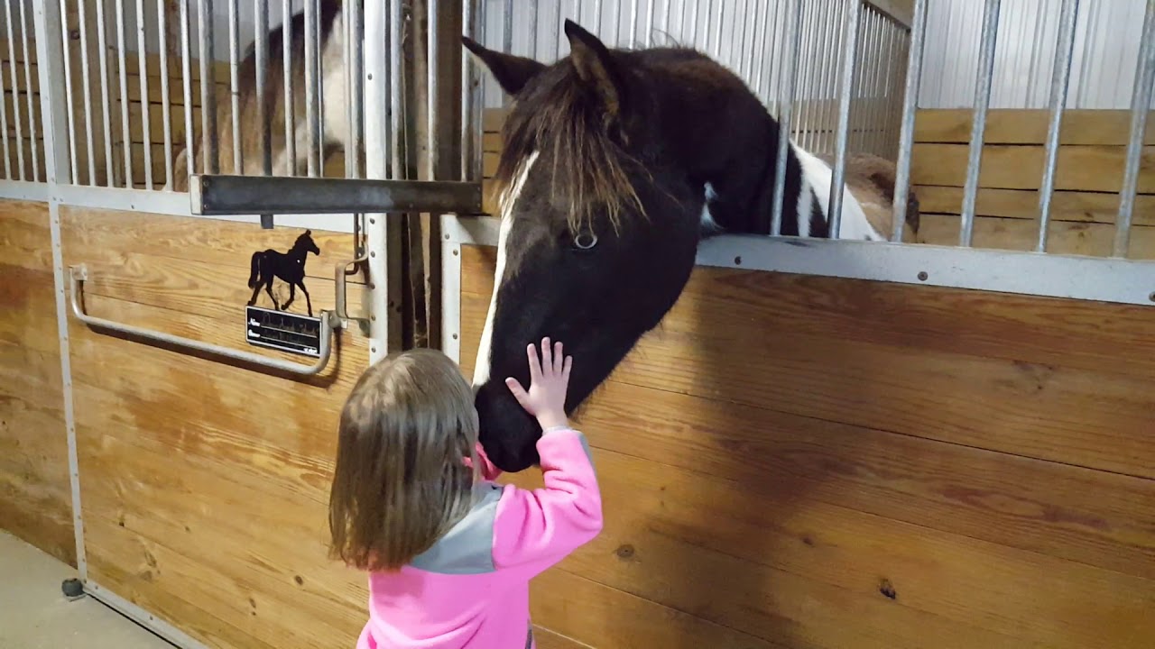 Hanging out at Grace Reins this evening - YouTube