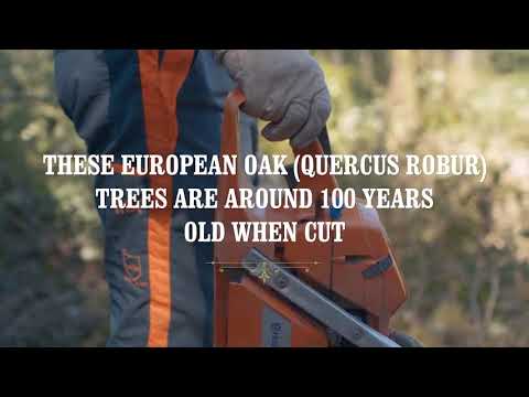 Tamdhu: From Spain to Speyside. Episode 1: Forests