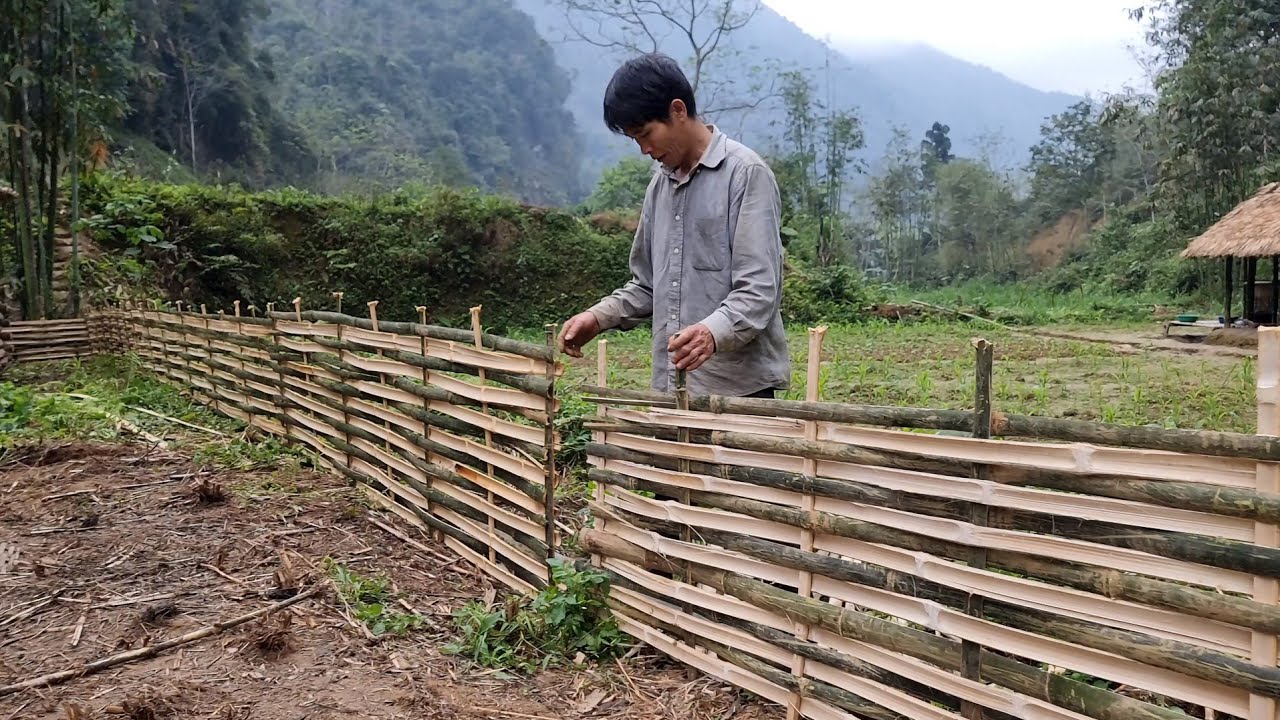 How To Make a Bamboo Fence To Prevent Duck, Pig | Building Farm Life ...