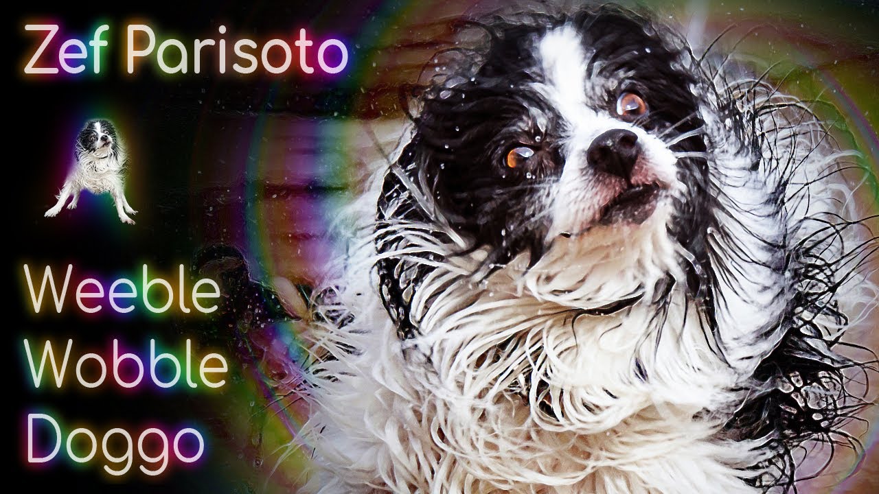 Zef Parisoto - Weeble Wobble Doggo (Official Visual) - YouTube