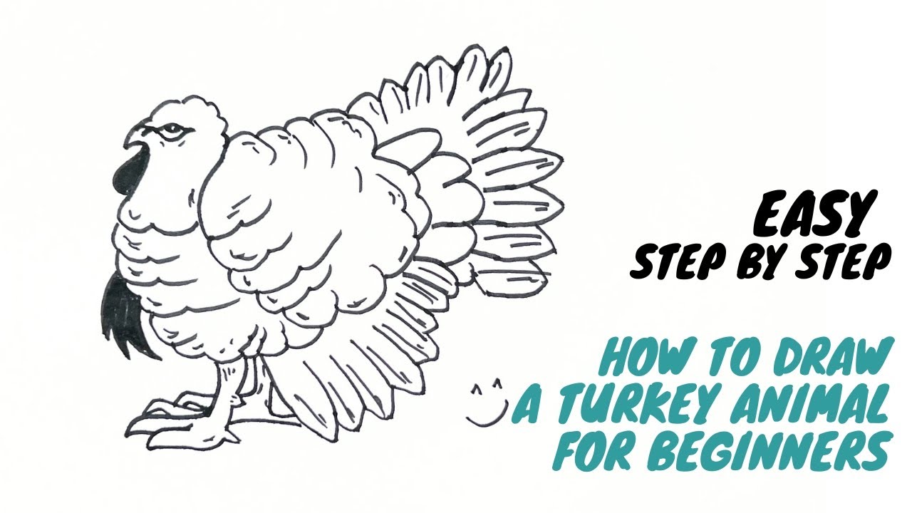 How to Draw A Turkey Animal for Beginners | Easy Step by Step | Arshaka ...