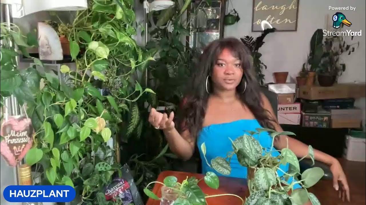 Ugh Lets try this again - YouTube