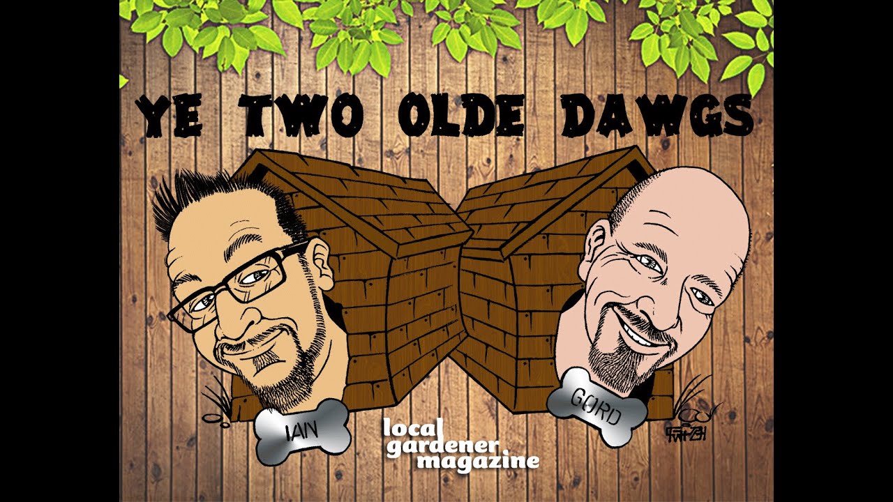 Two Olde Dawgs build a shed - YouTube