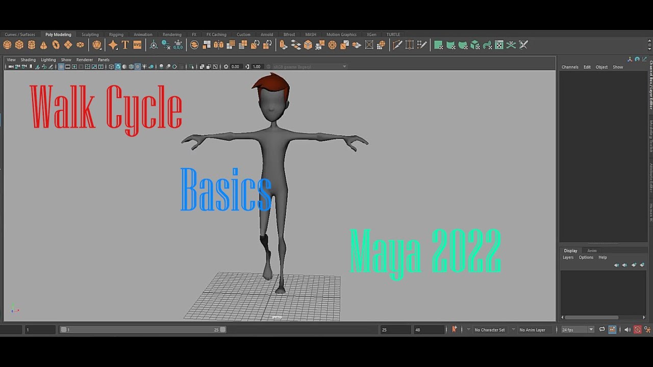 Walk cycle Basic In Maya 2022 - YouTube