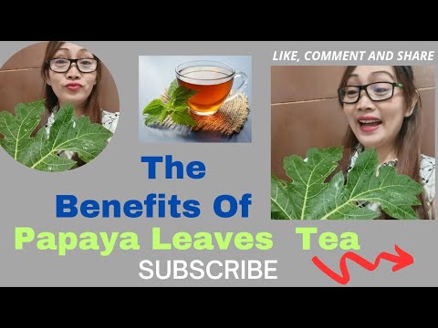 " The Benefits Of Papaya Leaves Tea ! " - YouTube