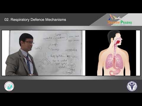 Respiratory Defence Mechanisms - YouTube