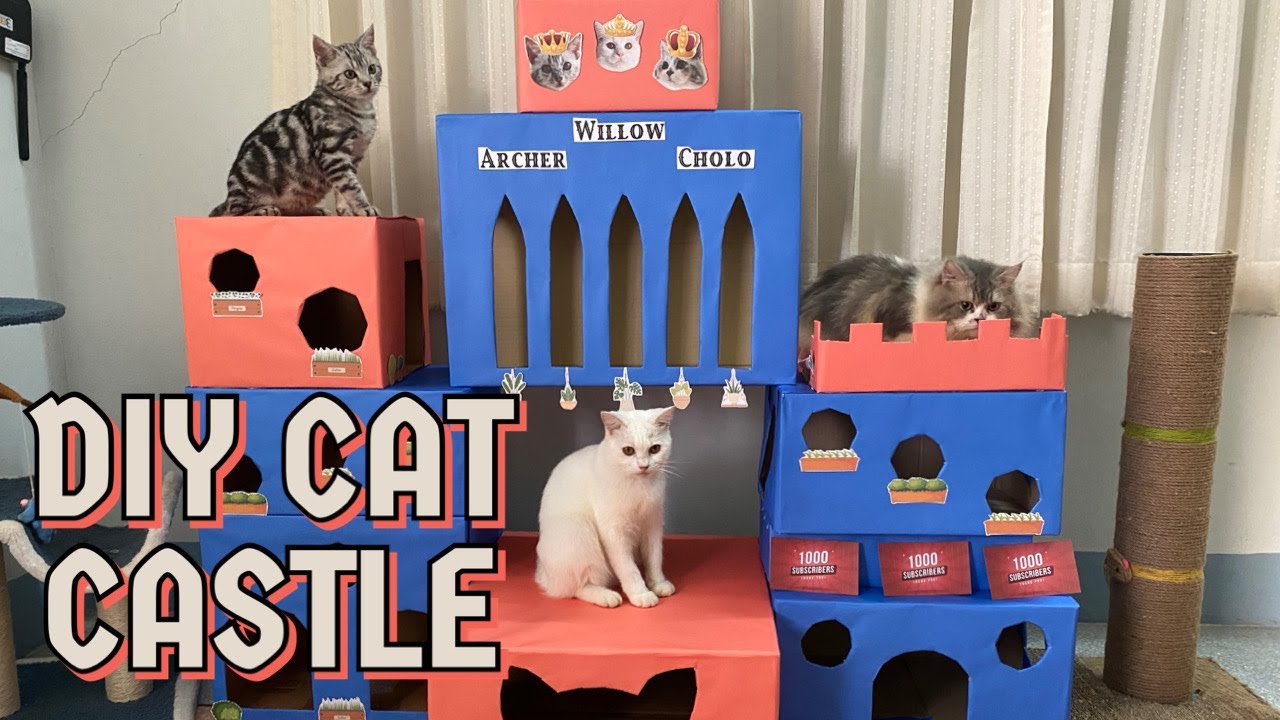 DIY Cat Castle/House - How To Make a Cat Castle from Cardboard Boxes ...