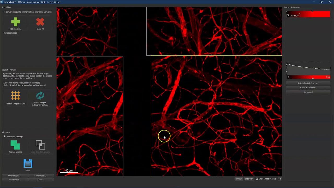 Lesson 3 - How to align and stitch big microscopy datasets (up to ...