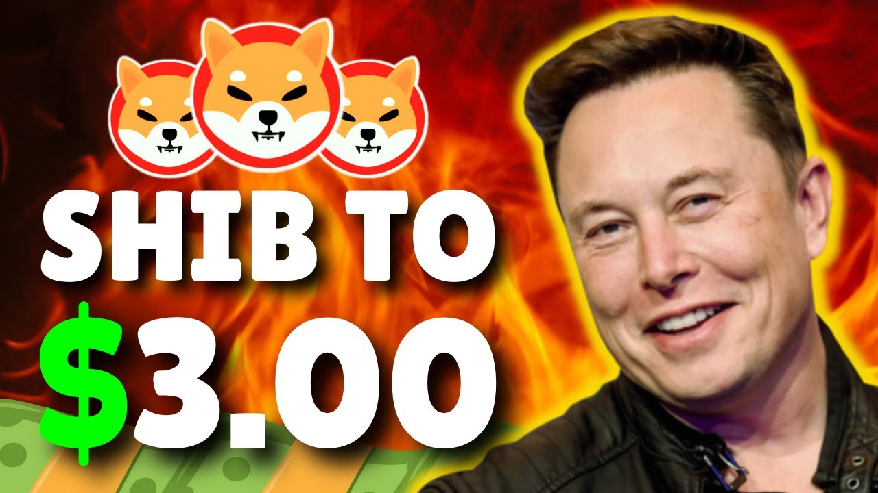 THE $3 SHIBA INU IS LIFE CHANGING, AS ELON MUSK REVEALED - SHIBA INU ...