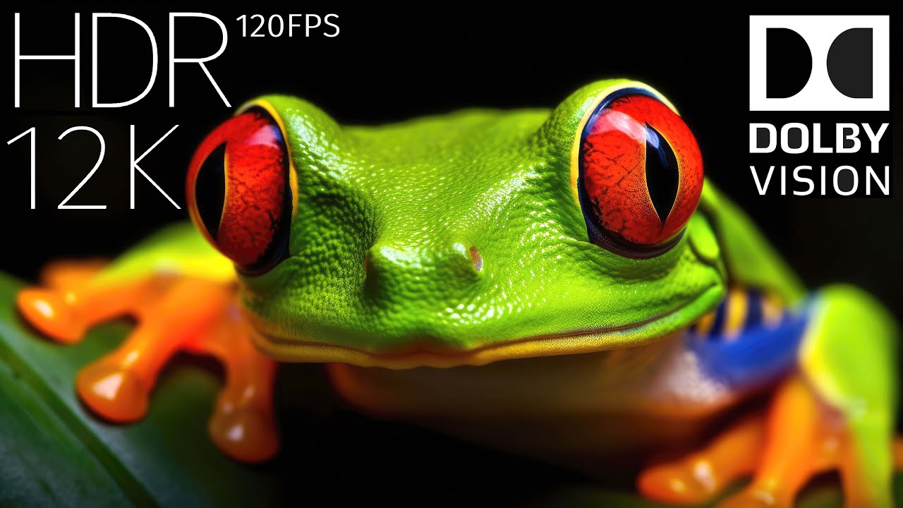 Crystal Clarity 12K HDR 120FPS Dolby Vision - YouTube