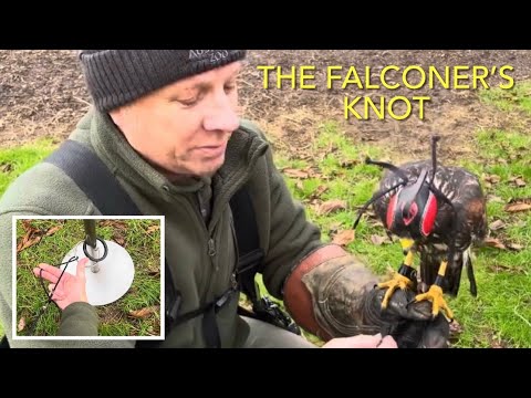 FALCONER’S KNOT; how to tie - YouTube
