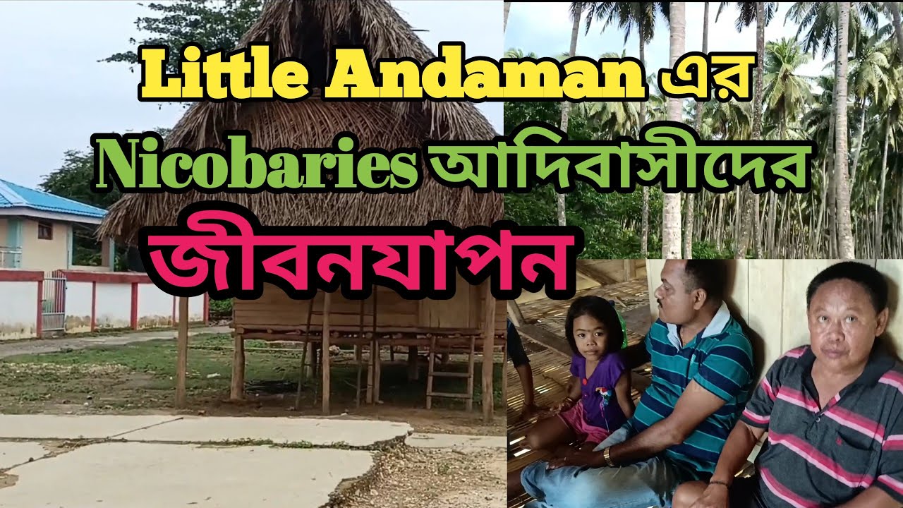 Little Andaman এর Nicobaries আদিবাসীদের জীবনযাপন #viral #andaman # ...