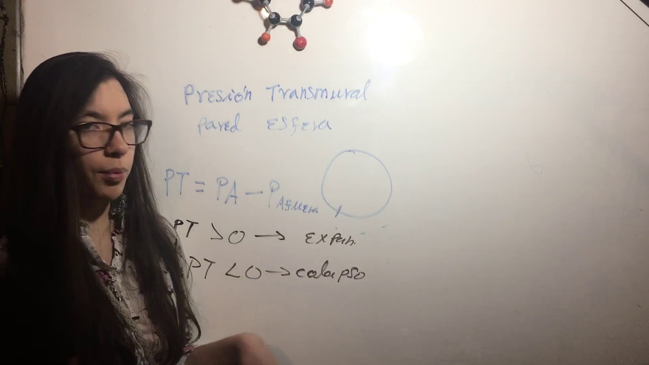 Definición Presión Transmural. Fisiología Pulmonar - YouTube