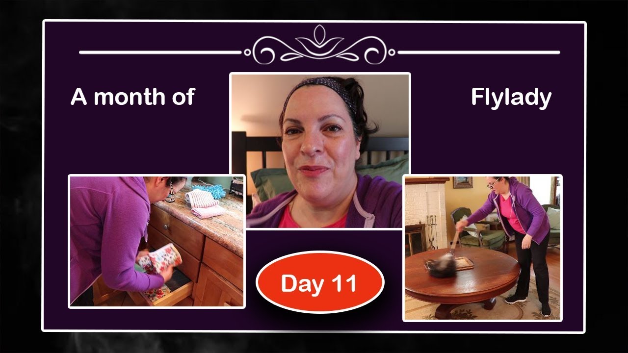 ⏱️ A Month of FlyLady Cleaning and Decluttering || 02/11/19 || Weekly ...
