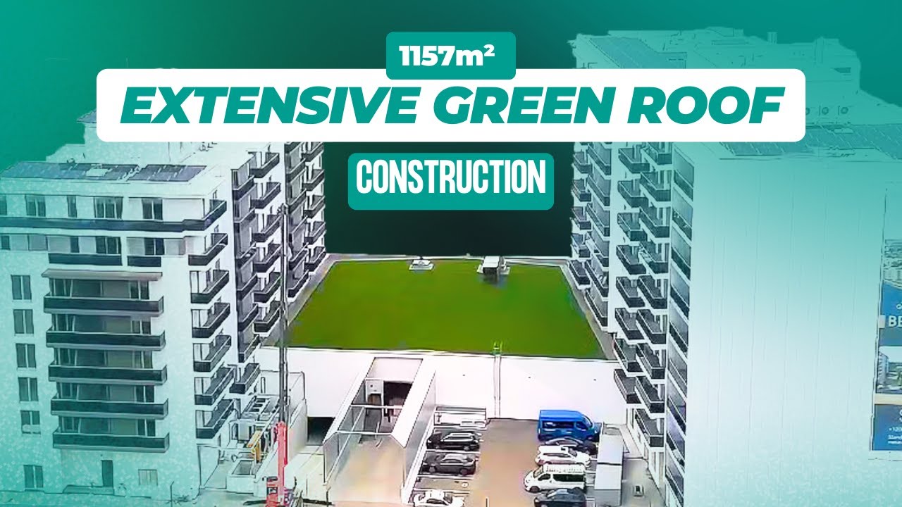 1,157 m2 of stunning green roof at Lidl Elite City - Cluj-Napoca 🌿 A ...