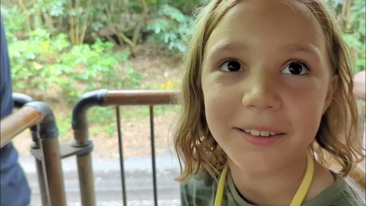 Disney World Vacation 2022 YouTube disney-world-vacation-2022-youtube