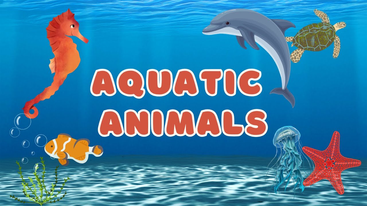 What Are Water Animals Name