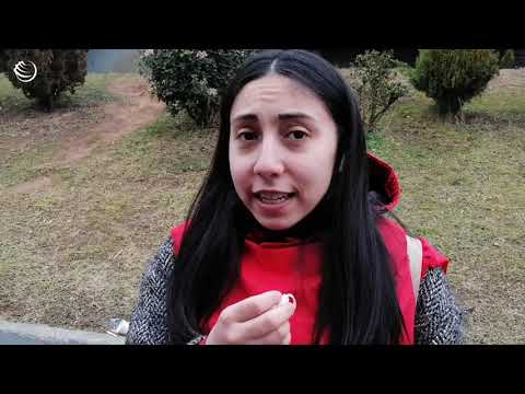 Farplas işçisi kadınlar: Sendikayla biz de söz sahibi olacağız