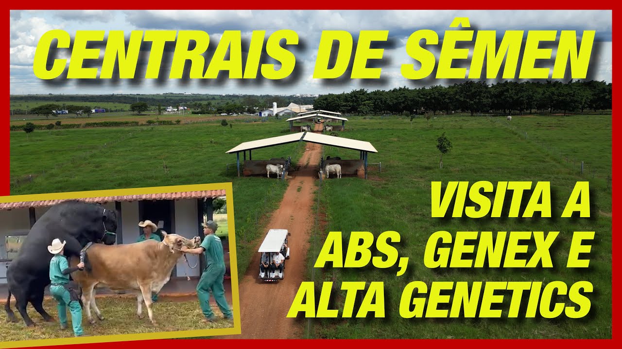 Visita as Centrais de Sêmen Genex, Alta Genetics e ABS - YouTube