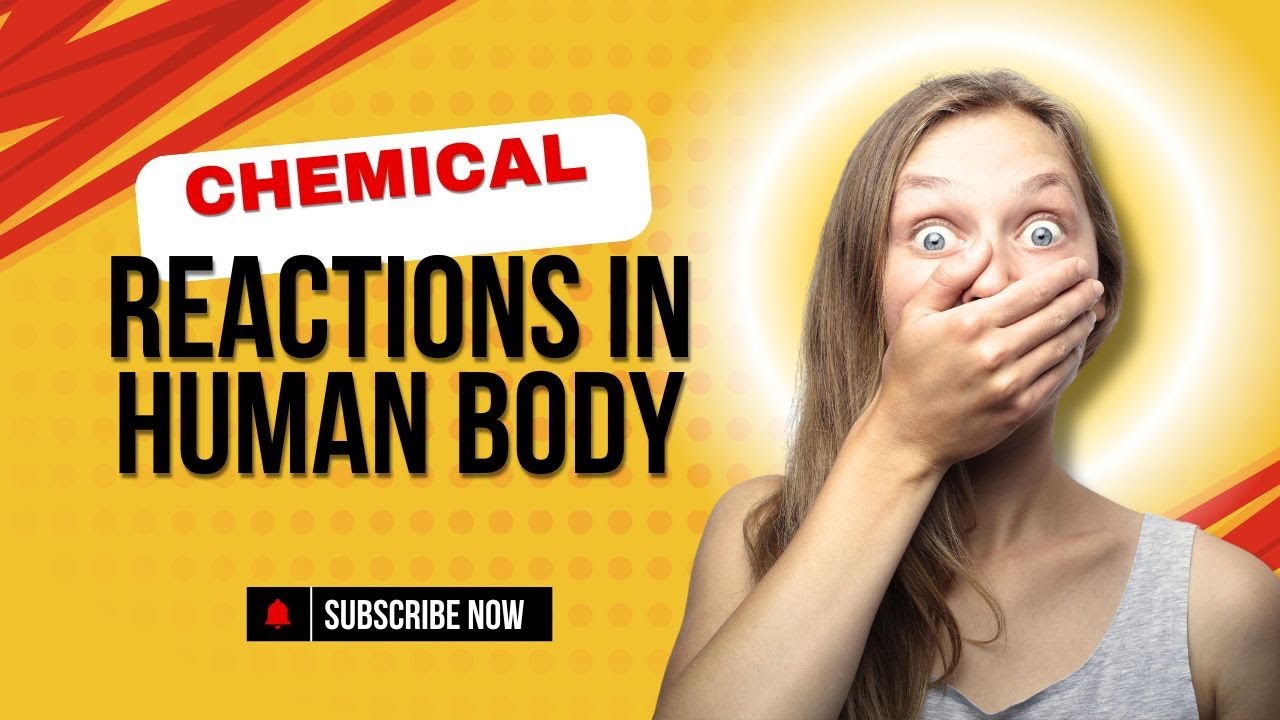 #chemical #reactions #human #body #subscribe @eliteacollection - YouTube