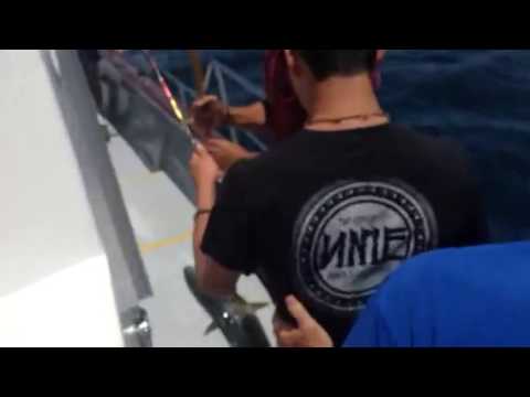 Soto Fish 2 - YouTube