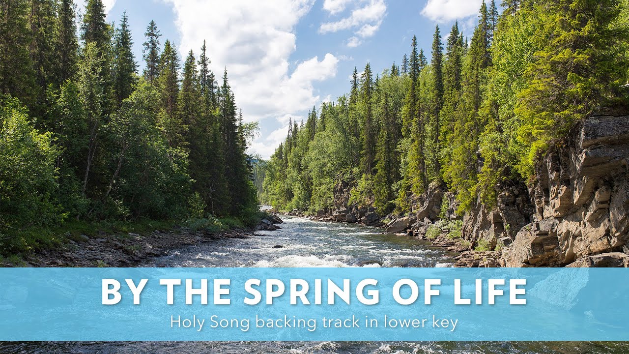33 By the Spring of Life - YouTube