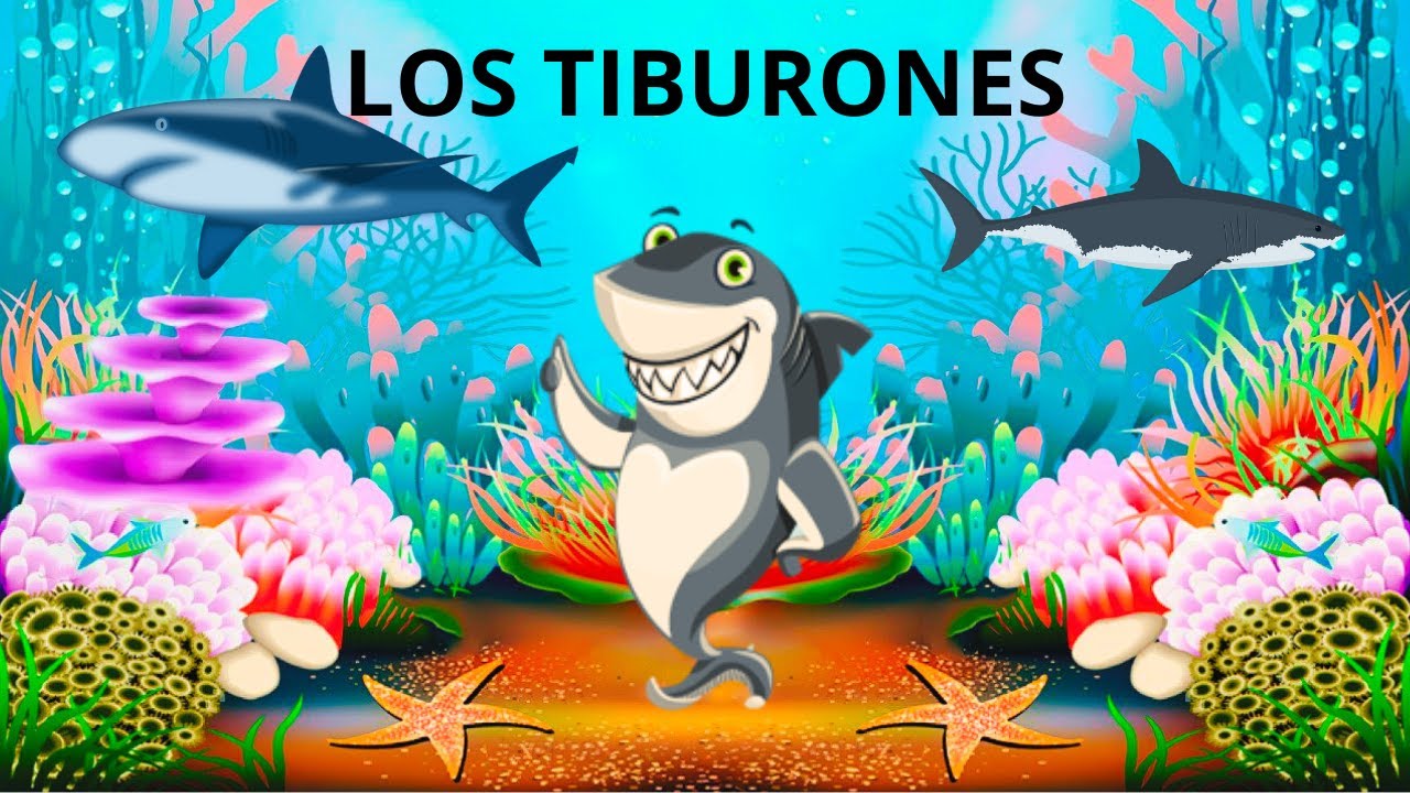 LOS TIBURONES PARA NIÑOS/TODO SOBRE LOS TIBURONES/CONCIENCIACIÓN SOBRE ...