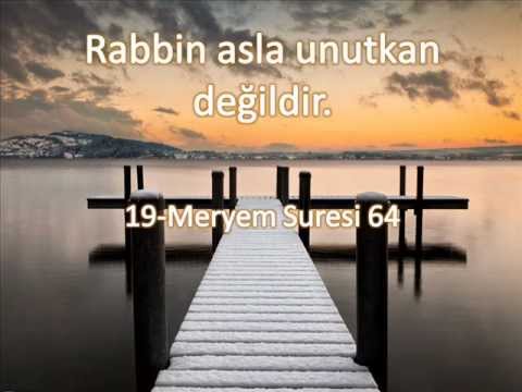 Rabbin (Allah) Unutkan Değildir!