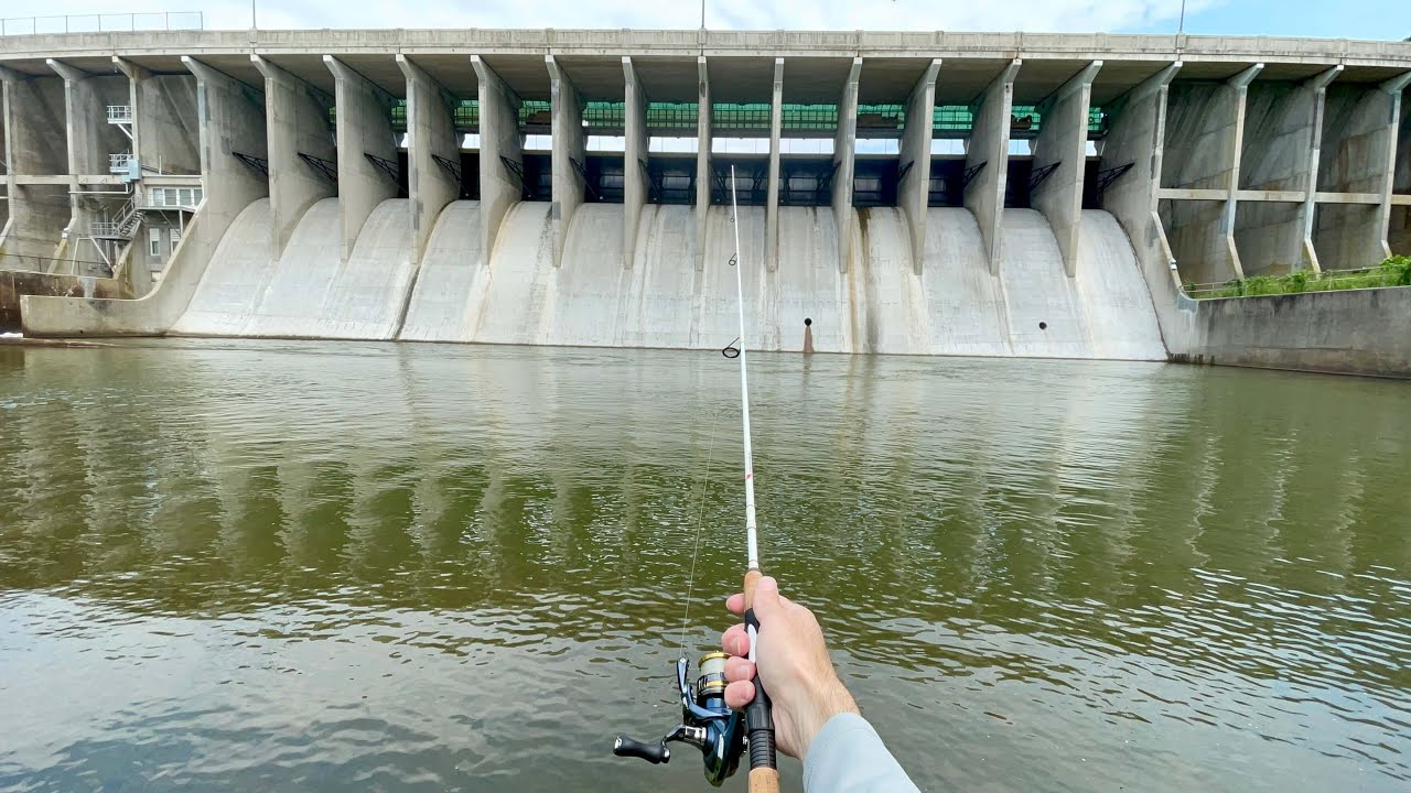 Spillway Fishing for ANYTHING That Bites (SURPRISE Catch!) - YouTube