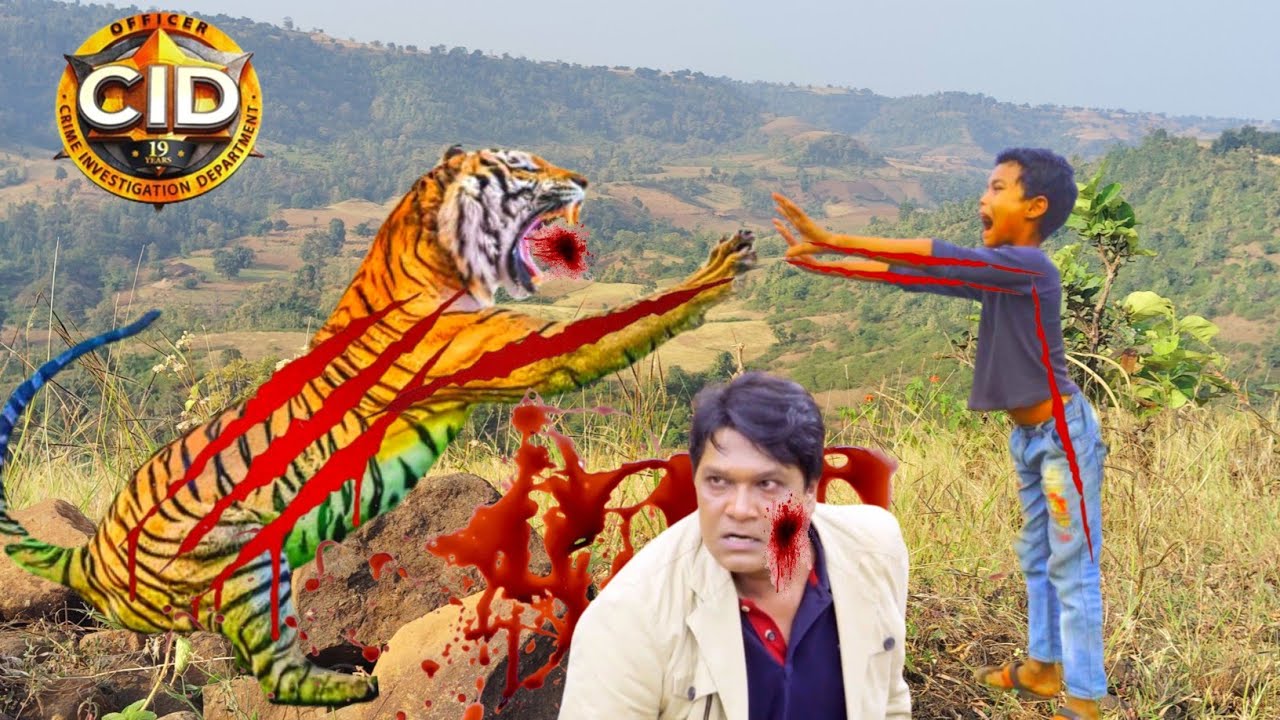 Secrets of Tiger Attacks Unveiled - YouTube