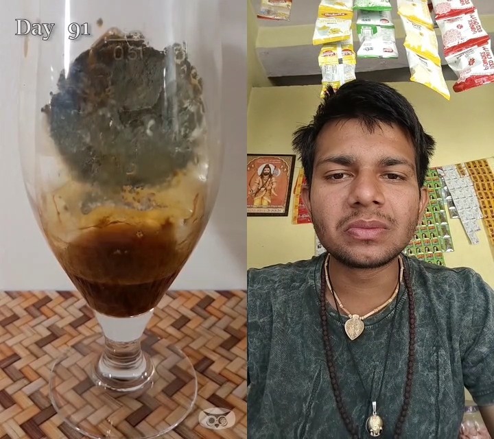 Beer Time Lapse as Fast as possible #coffee #drink #cocktail #food # ...