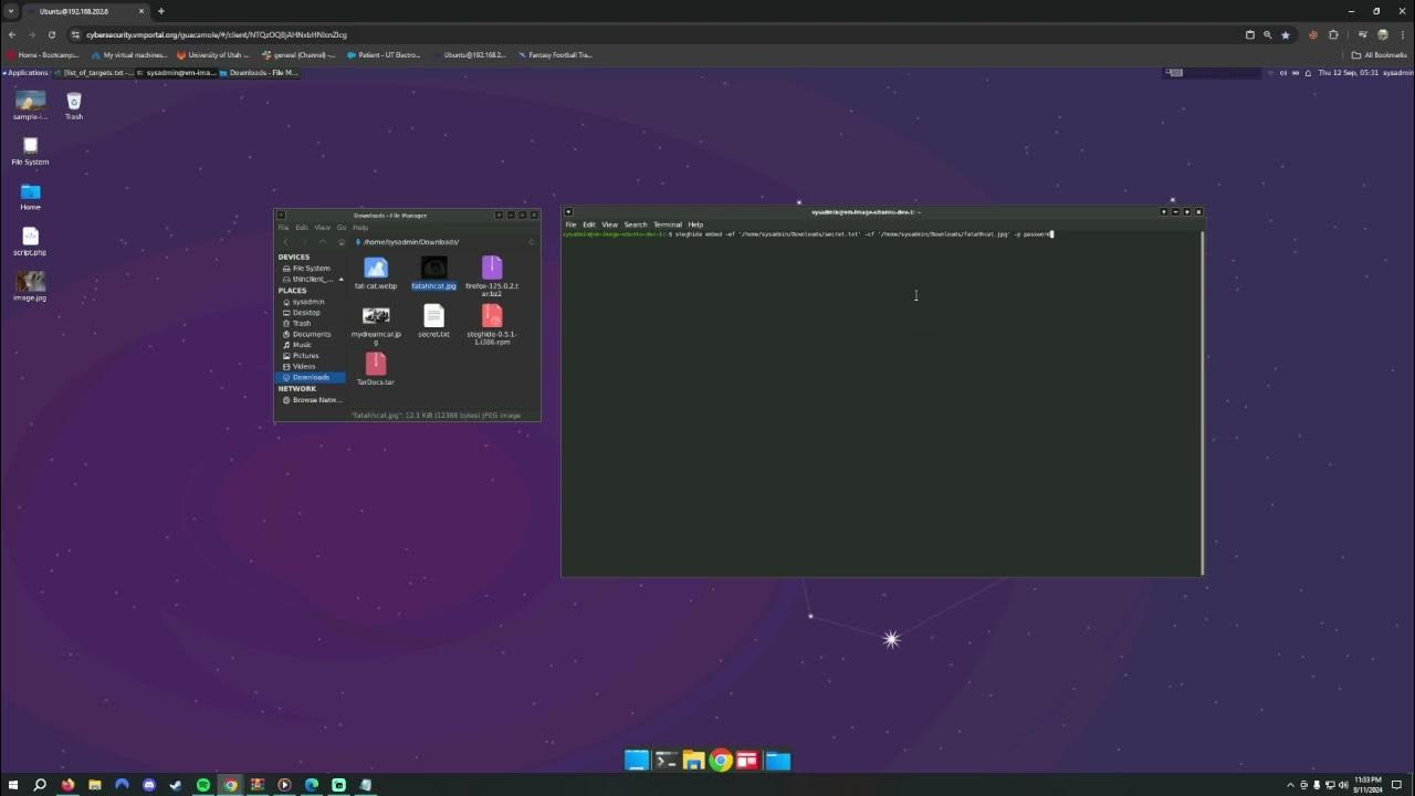 How to embed/extract files using Steghide - Linux - YouTube