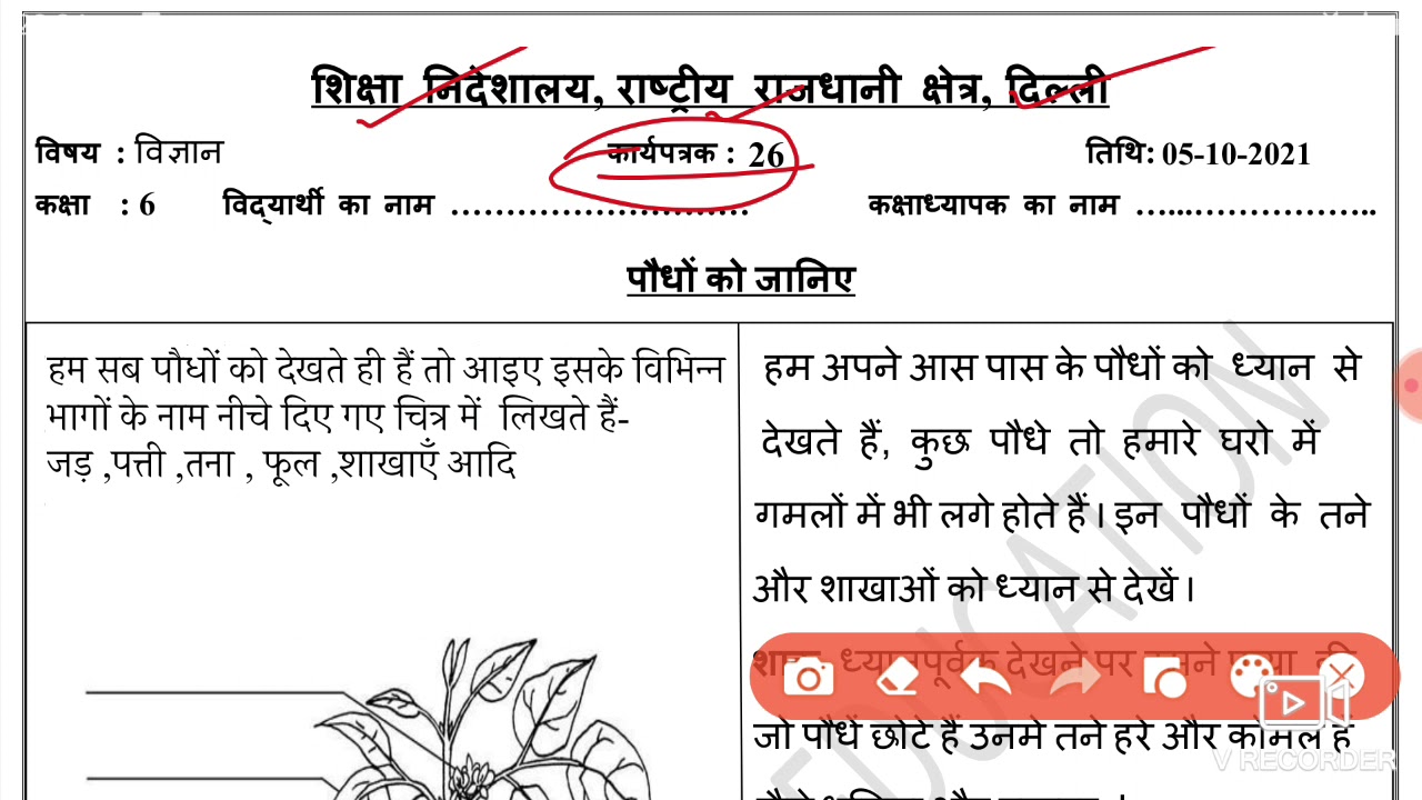 Science Worksheet 26 Class 6 5 10 2021 hindi Medium Worksheet 26 science-worksheet-26-class-6-5-10-2021-hindi-medium-worksheet-26