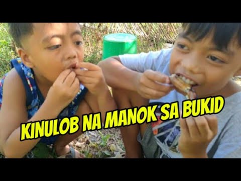 KINULOB NA MANOK GAMIT ANG LATA AT DAYAMI NG PALAY #bornokandbossenan ...