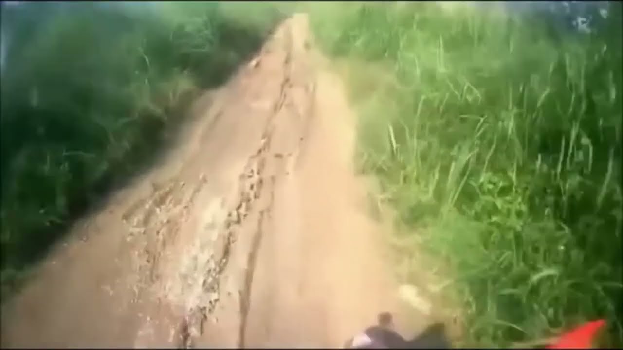 Shocking Video of Mantee Tribesman Or Orang Pendek cryptid - YouTube