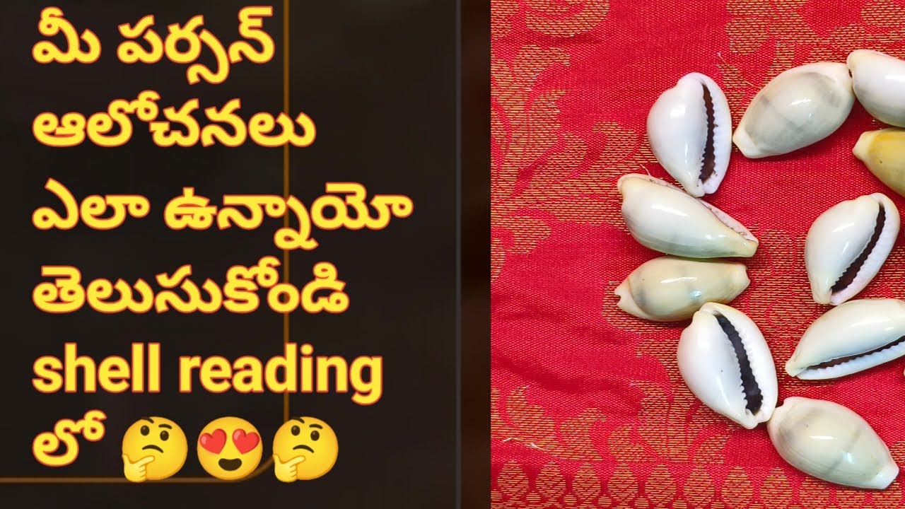 ️💯 మీ పర్సన్ ఆలోచనలు ఎలా ఉన్నాయో తెలుసుకోండి shell reading లో 🤔 - YouTube