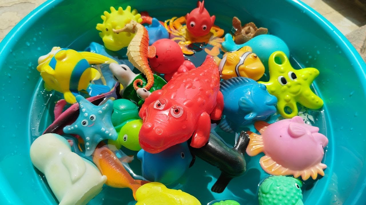Little Fishes, Shark Fish, Cute Pets, Sea Animal Toy, Crap, educational ...