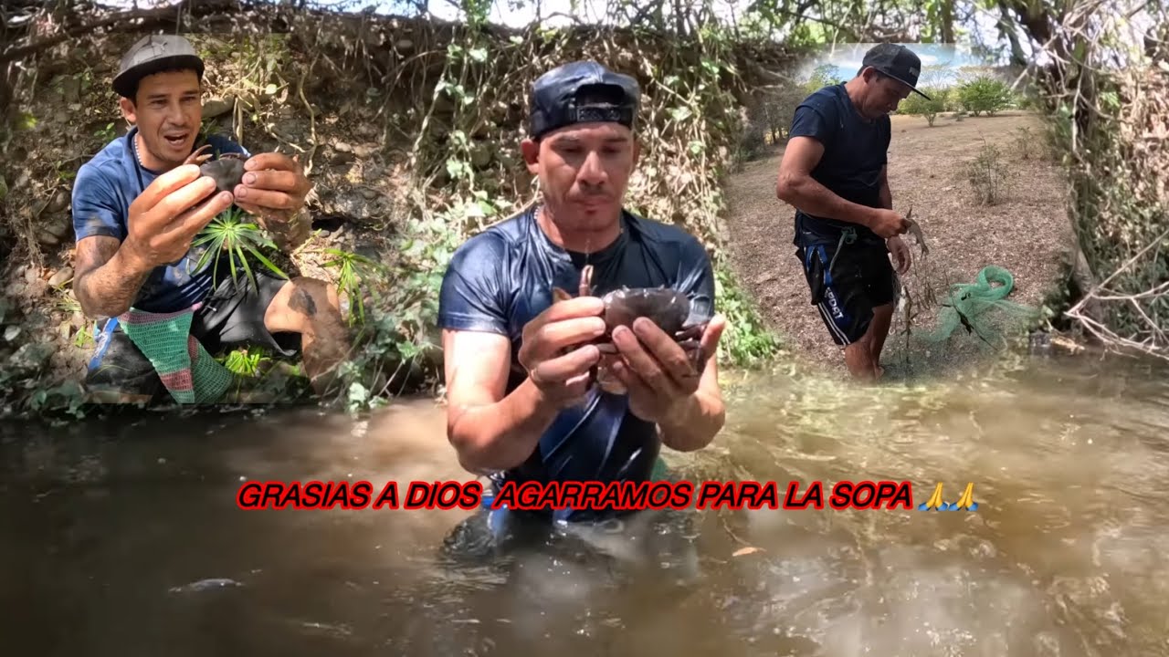 Buscando jutes y cangrejos para aser una rica sopa 🦀🤤 - YouTube