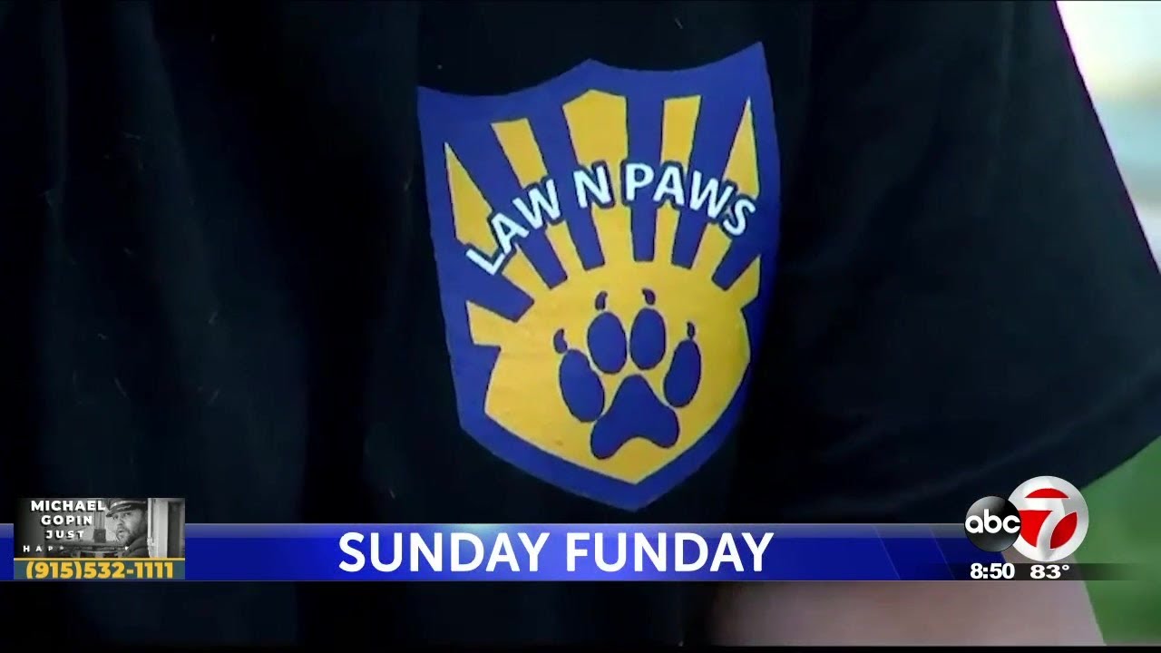 Sunday Funday Moment: Law N Paws rescue - YouTube