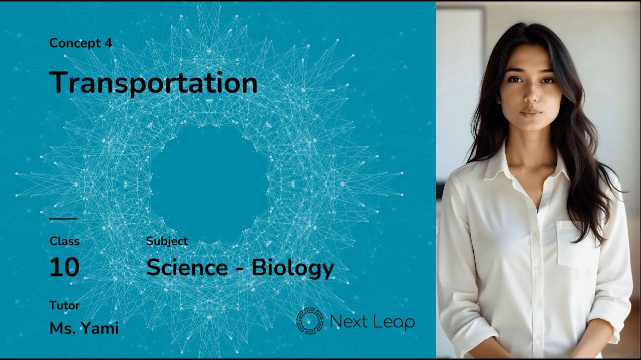 Transportation | Class 10 Science | Life Processes - YouTube