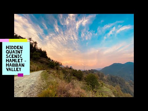 How was my 2 weeks experience in this quaint beautiful village, Habban | Himachal
