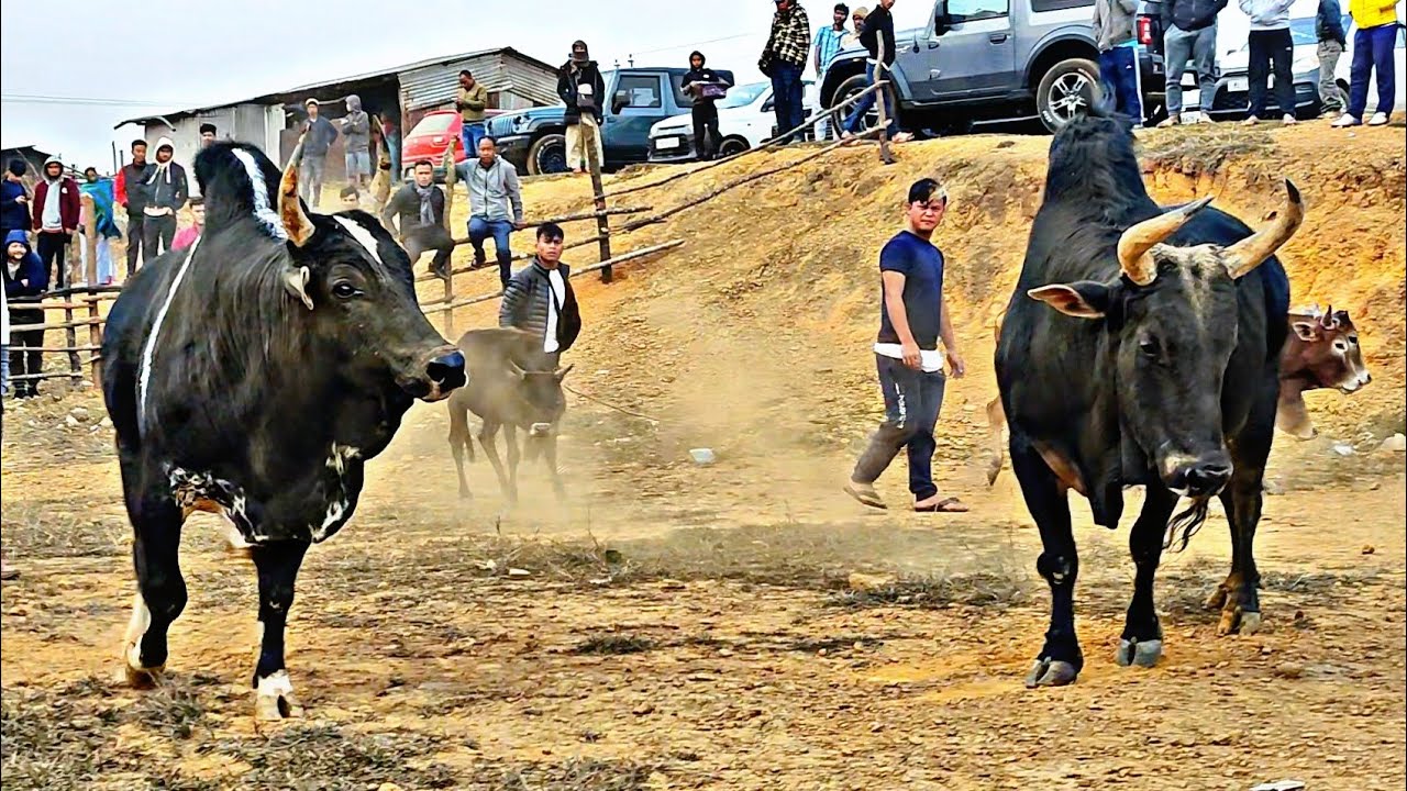 Mynthna khin sandy 🆚 Brai Bah sanroi || iadaw masi today ...