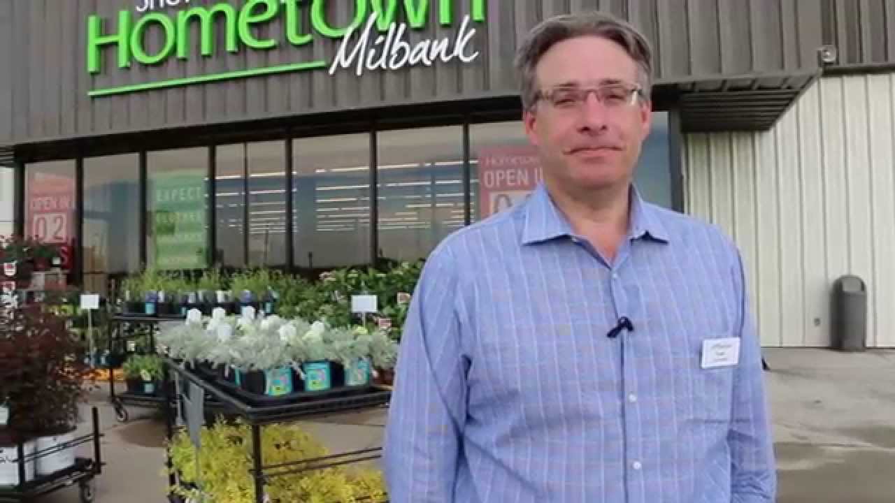 Exclusive First Look Inside Milbank's New Shopko Hometown Store - YouTube