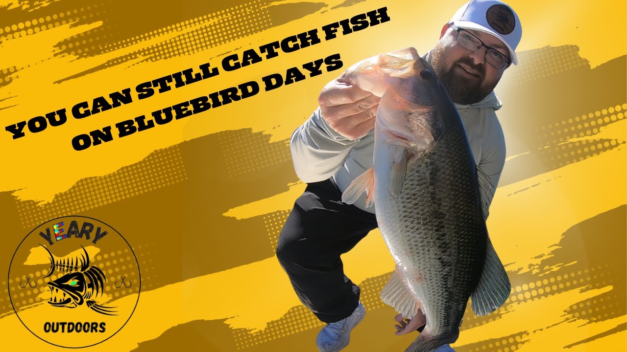 You can still catch fish on Bluebird days! - YouTube