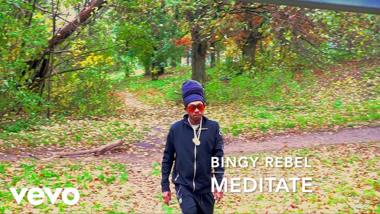 Bingy Rebel - Meditate (Official Music Video) - YouTube