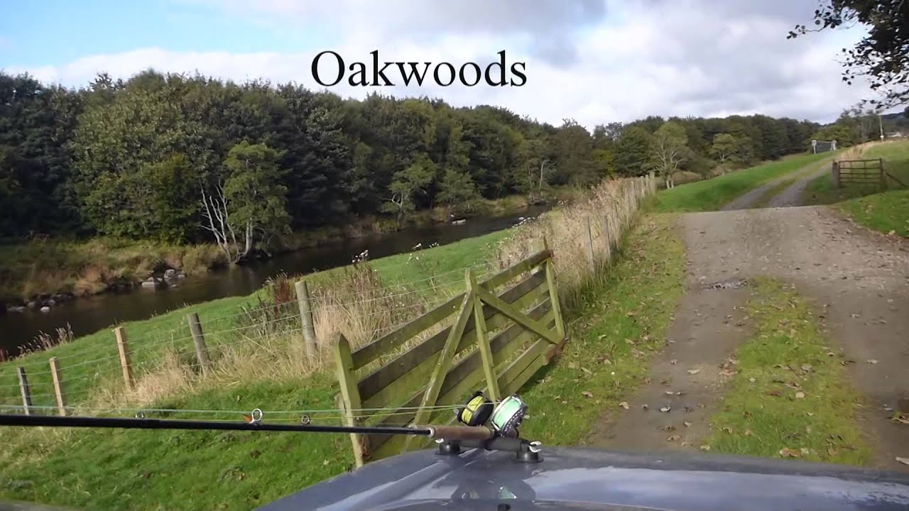 Avochie Beat River Deveron - YouTube