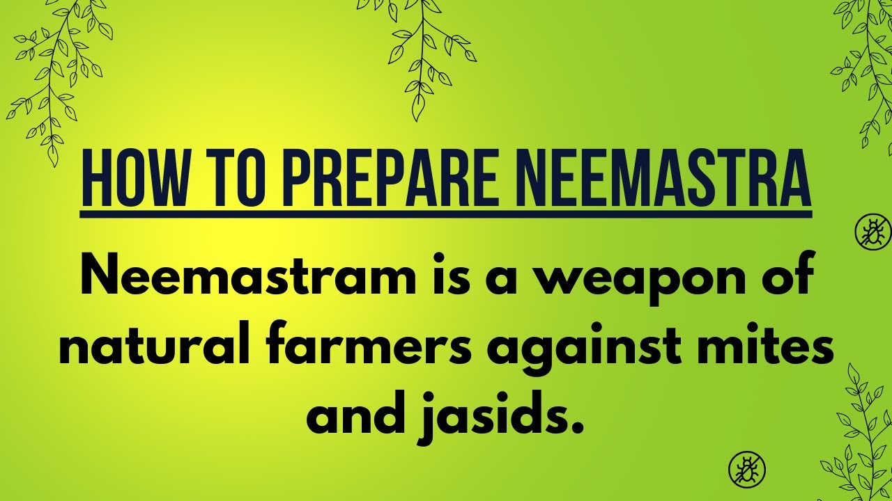 Preparation of Neemastra - YouTube