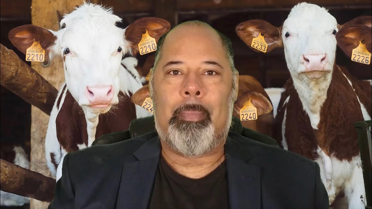 UK citizens boycott Arla Foods and supermarkets over Bovaer 'net zero ...