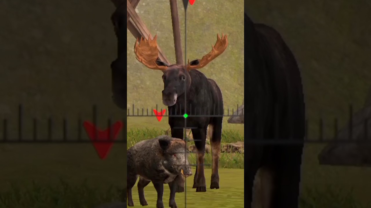 moose vs pig target view #shortvideo #shortsviral #shortsyoutube # ...